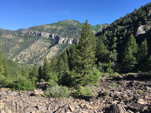 Best Walking Trails in North Logan | AllTrails