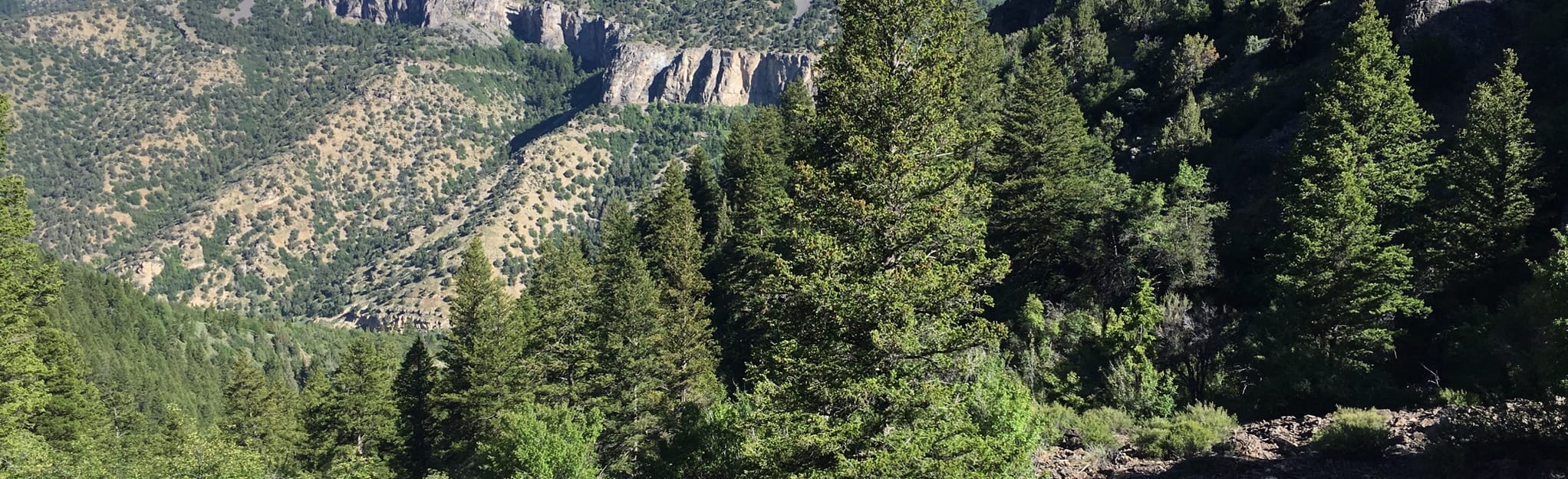 Spring Hollow Bridger Overlook and River Trail, Utah - 284 Reviews, Map ...