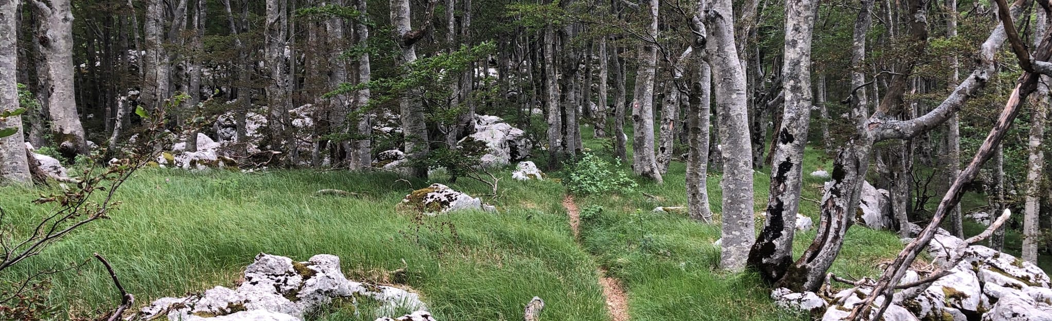 Dabarska Kosa - Prikinuto Brdo - Velinac: 21 Fotos - Lika-Senj, Kroatien | AllTrails