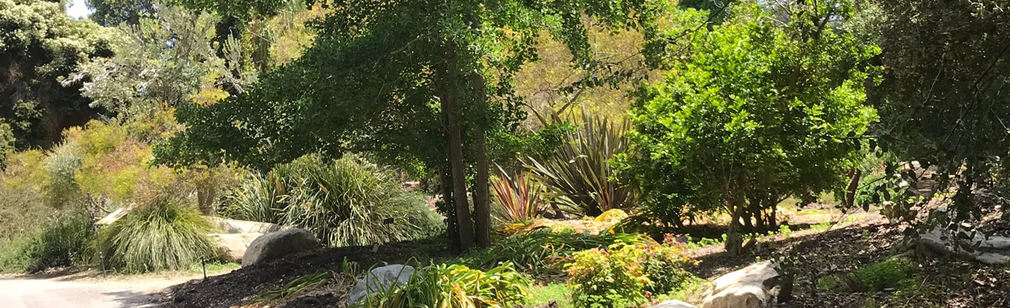 San Diego Botanic Garden Walk, California - 72 Reviews, Map | AllTrails