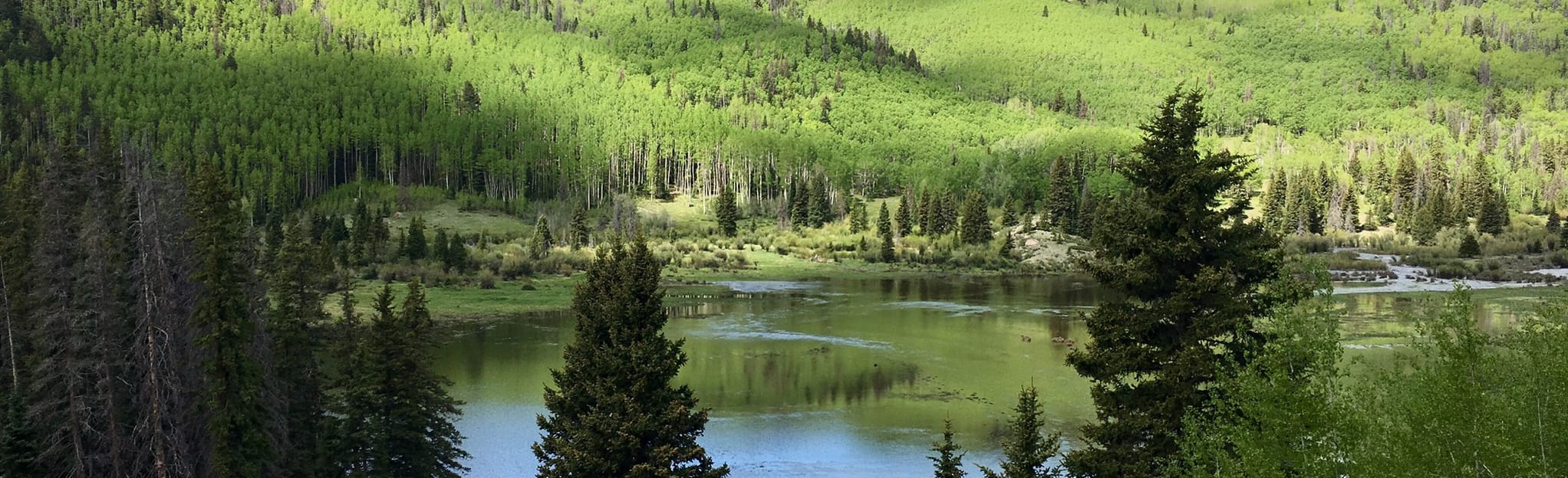 Elk Creek Trail, Colorado - 164 Reviews, Map | AllTrails