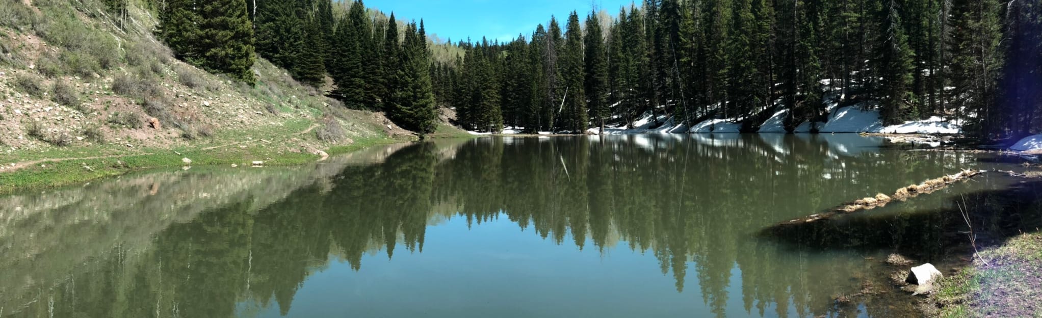 Moonlight Meadow to Clark Lake Loop: 4 Reviews, Map - Utah | AllTrails