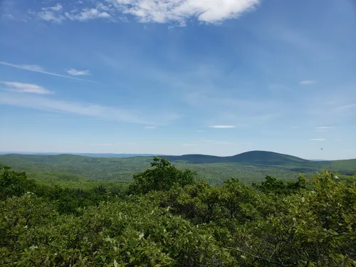 10 Best Hikes and Trails in Mount Riga State Park | AllTrails