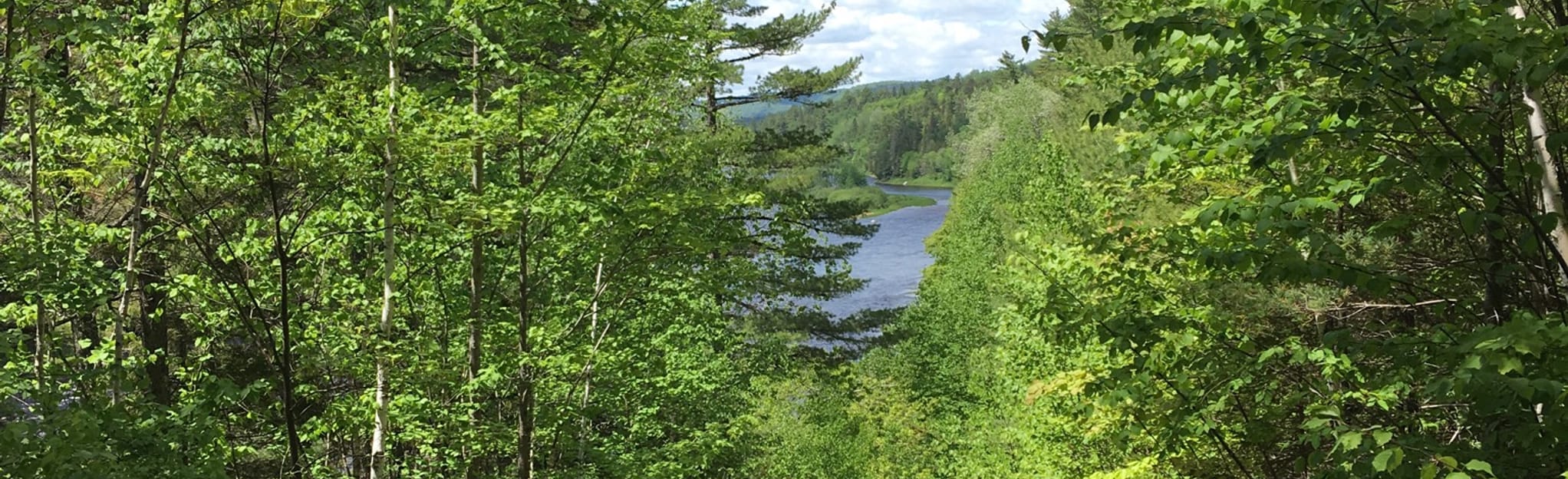 Fall Brook Falls, New Brunswick, Canada - 52 Reviews, Map | AllTrails