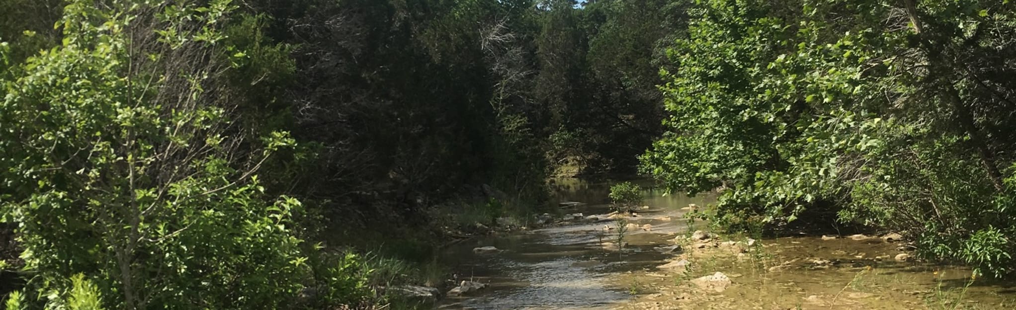 Parrie Haynes Trail: 60 foto's - Texas | AllTrails