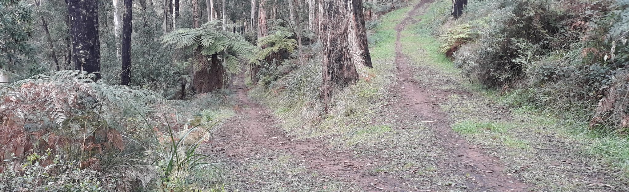 Alpina, Pipeline, Magpie, Wallaby, and Wols Tracks Loop: 11 Reviews ...