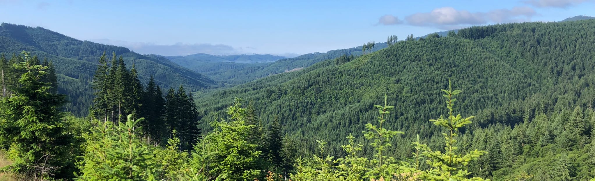 Rock Candy Trail to East Waddell Loop: 6 Reviews, Map - Washington ...