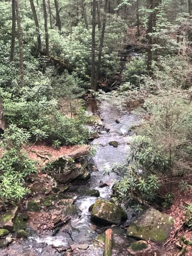 2023 Best 10 Trails in Sproul State Forest | AllTrails