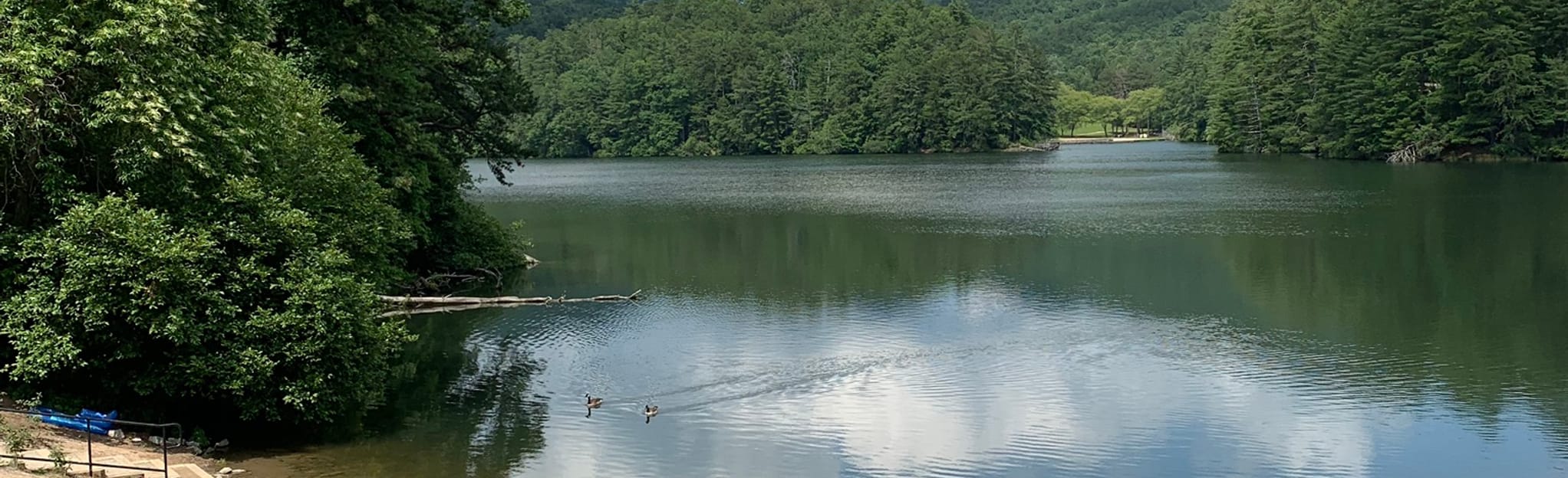 Unicoi Lake Loop Trail, Georgia - 1,040 Reviews, Map | AllTrails