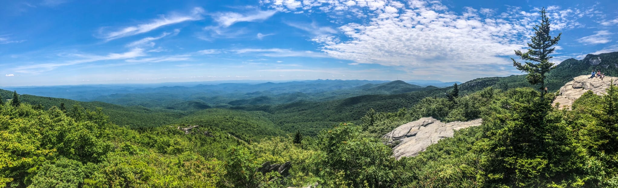 Rough Ridge via Tanawha Trail: 1.762 foto's - North Carolina | AllTrails