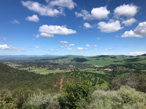 Best 10 Hikes and Trails in Mount Diablo State Park | AllTrails