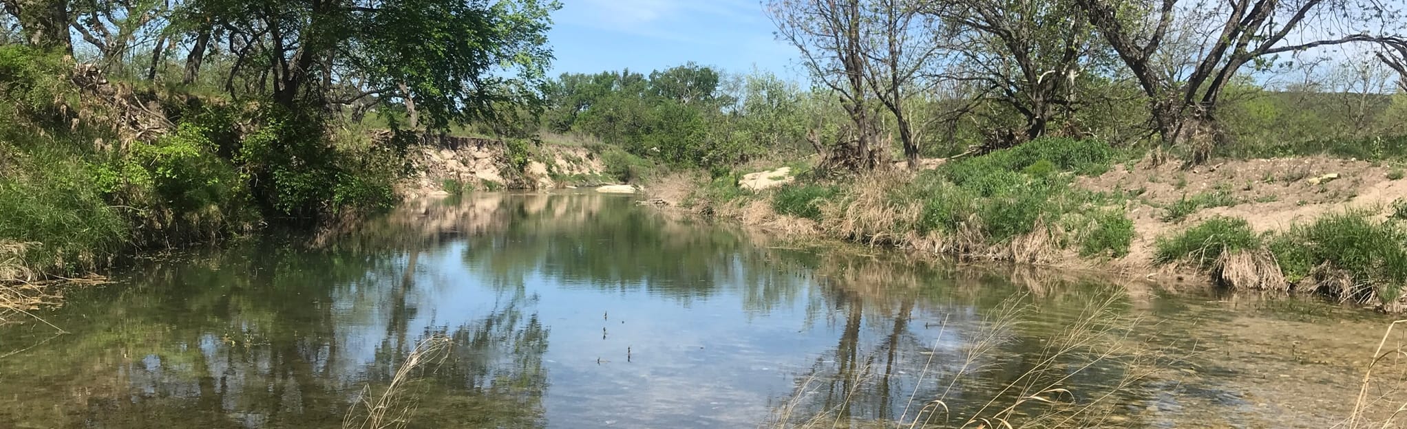 South Llano River State Park Loop Trail: 105 Reviews, Map - Texas ...