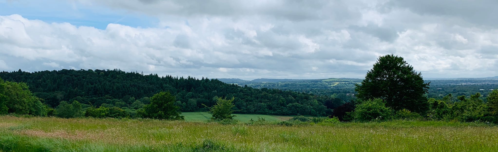 Guildford Cathedral Pilgrimage Circular: 19 Reviews, Map - Surrey ...