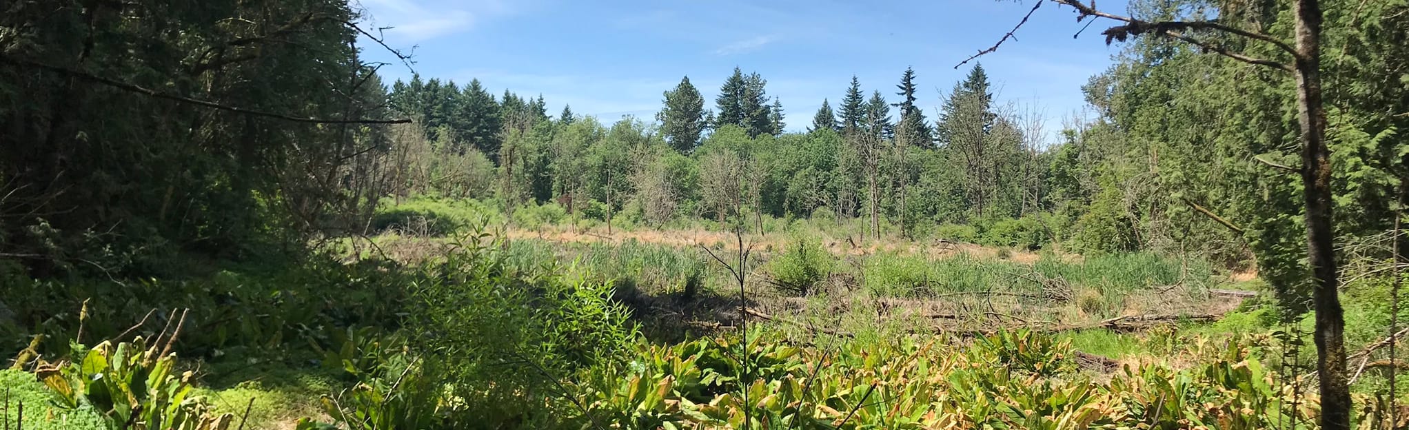 Oak and Old Wagon Trail, Oregon - 946 Reviews, Map | AllTrails