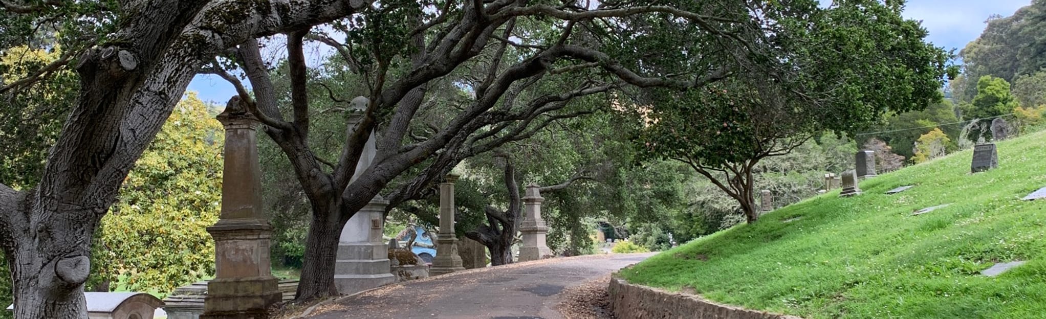 Mountain View Cemetery Walk | Map, Guide - California | AllTrails