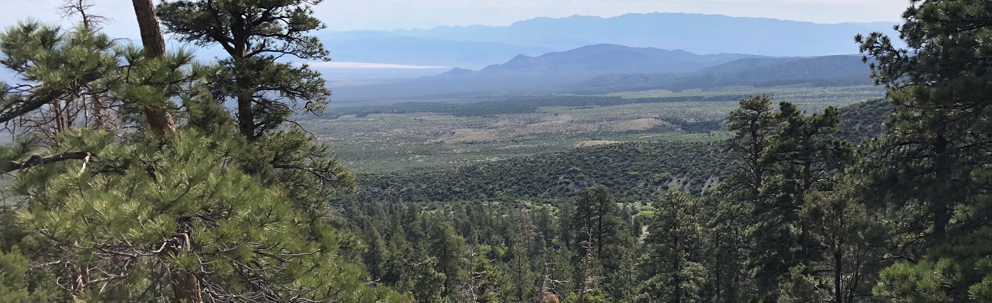 Bonanza Peak via Spring Mountain Divide Trail, Nevada - 312 Reviews ...