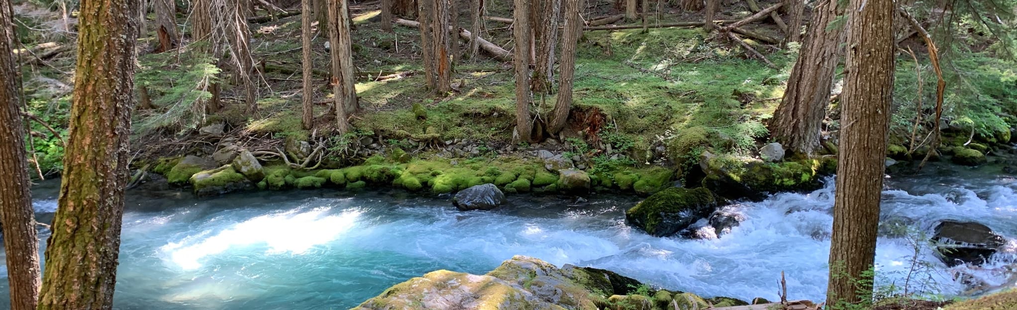 Upper Dungeness Trail to Heather Creek Trail | Map, Guide - Washington ...