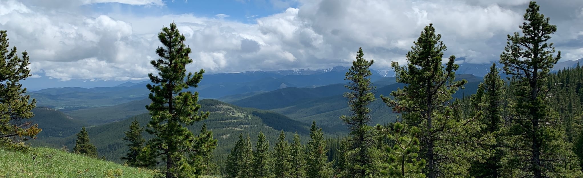 South Volcano Ridge Loop, Alberta, Canada - 59 Reviews, Map | AllTrails