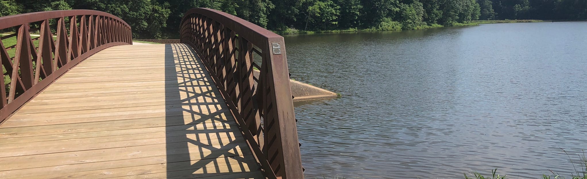 Cedar Ridge Trail Loop, North Carolina - 498 Reviews, Map | AllTrails