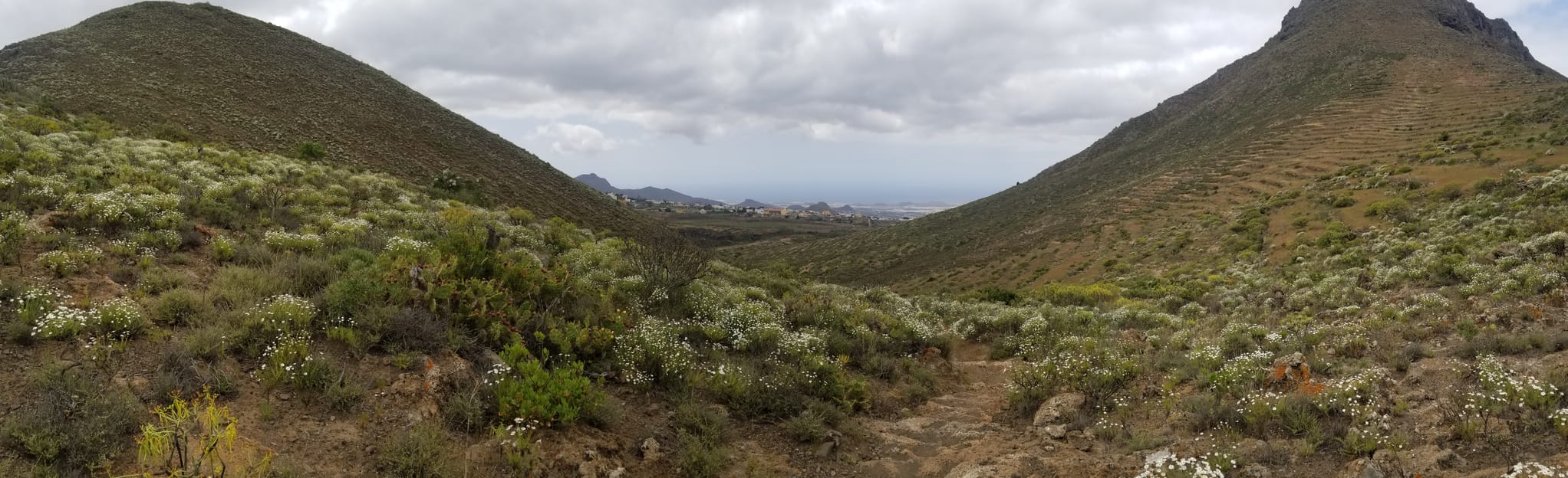 AllTrails | Roque Imoque - Roque del Conde: 14 Reviews, Map - Tenerife ...