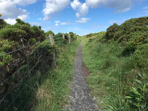 10 Best Hikes and Trails in Causeway Coast Strangford and Lecale ...