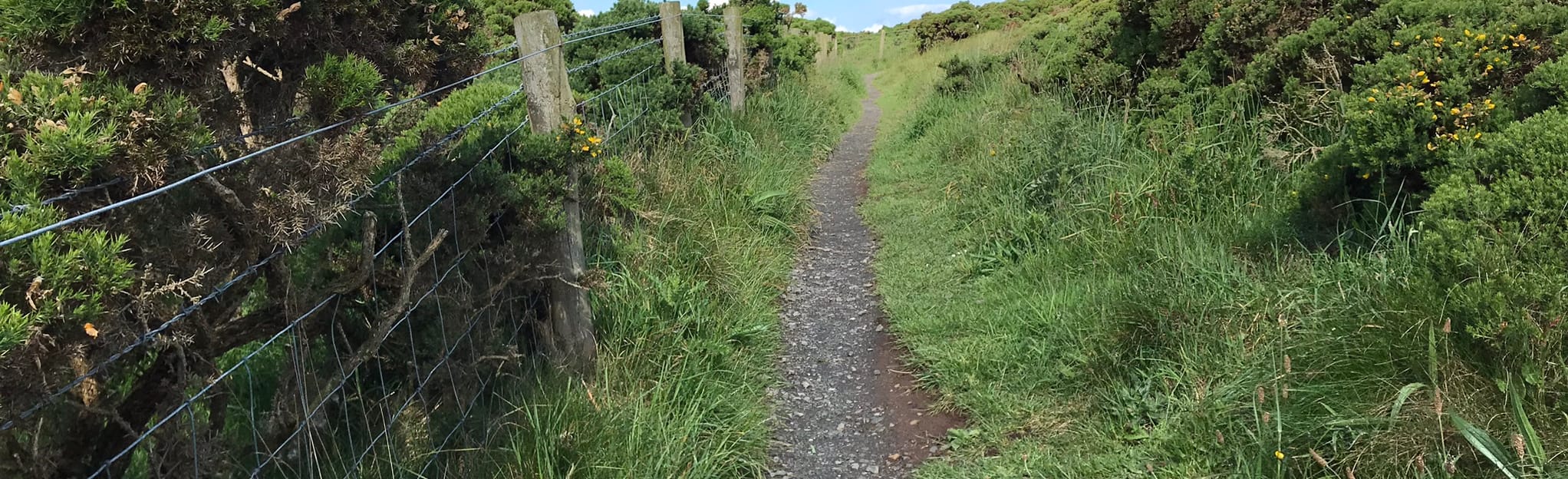 Causeway Coast Way: Dunseverick Castle to the Giant's Causeway: 133 ...