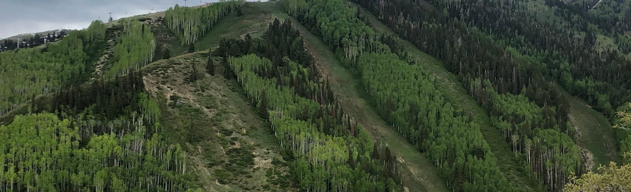 Rob’s Trail, Ambush and Rosebud’s Heaven Loop: 265 Reviews, Map - Utah ...