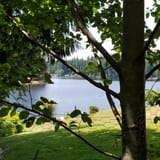 Goss Lake Loop, Washington - 39 Reviews, Map | AllTrails