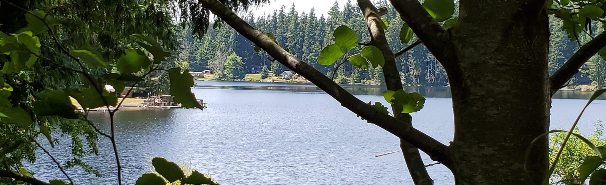 Goss Lake Loop, Washington - 30 Reviews, Map | AllTrails