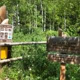 Peter Sinks OHV Trail, Utah - 23 Reviews, Map | AllTrails