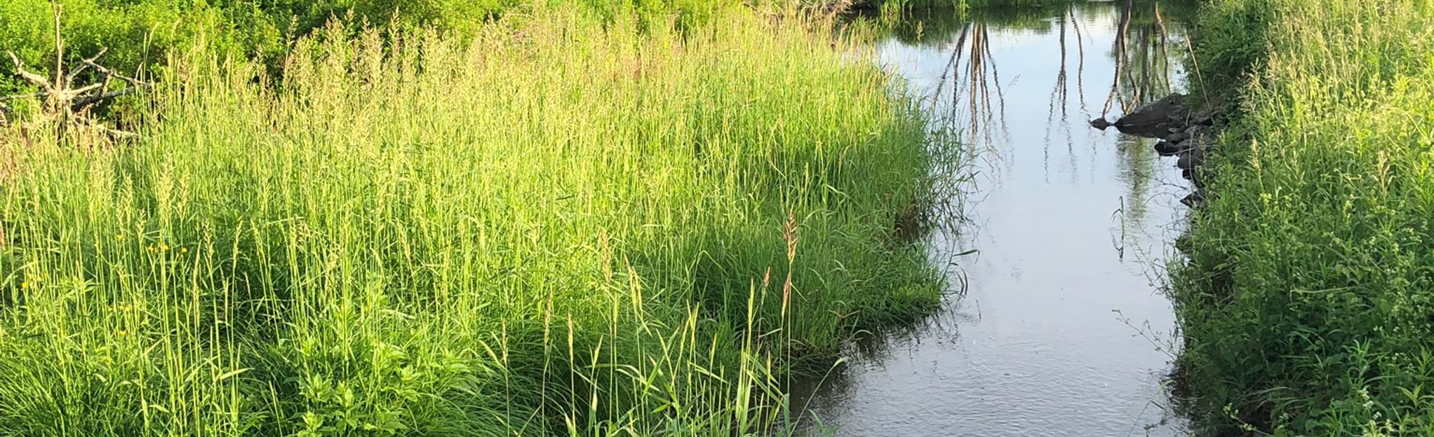 Inside Line Trail and Outer Loop North Trails - New York | AllTrails