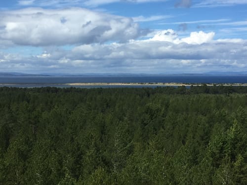 Best Hikes and Trails in Culbin Forest | AllTrails