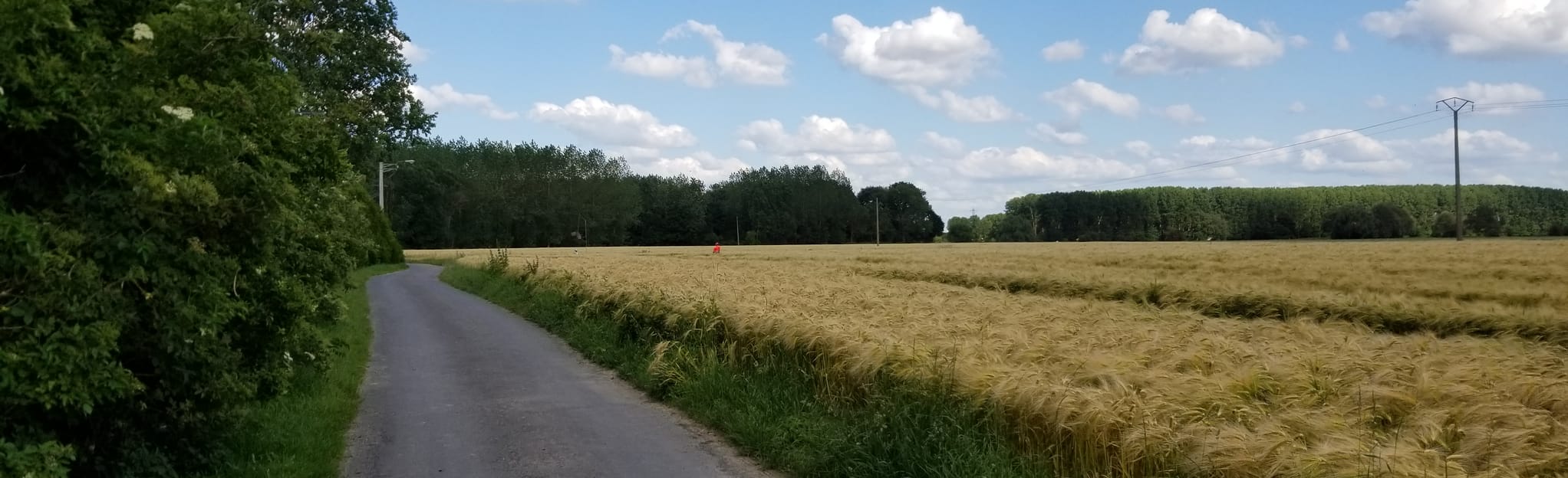 Gruson, Forest-sur-Marque, Camphin-en-Pévèle | Map, Guide - Nord ...