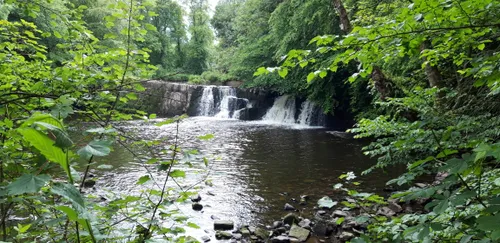 Best Hikes and Trails in Linn Park | AllTrails