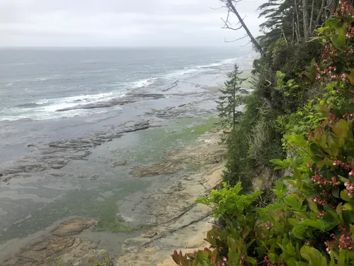 10 Best Camping Trails in Pacific Rim National Park Reserve | AllTrails