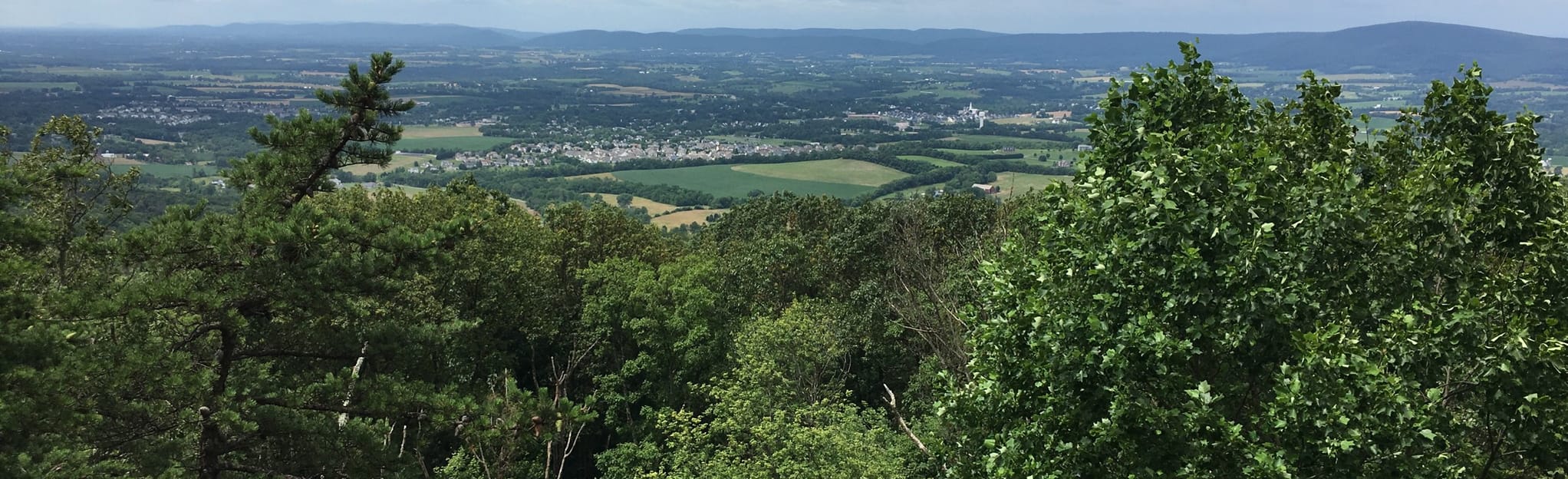 Catoctin Trail to Black Trail Loop, Maryland - 294 Reviews, Map | AllTrails