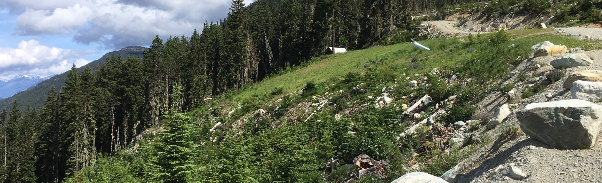 McKenzie Basin Forest Service Road Trail: 4 Reviews, Map - British ...