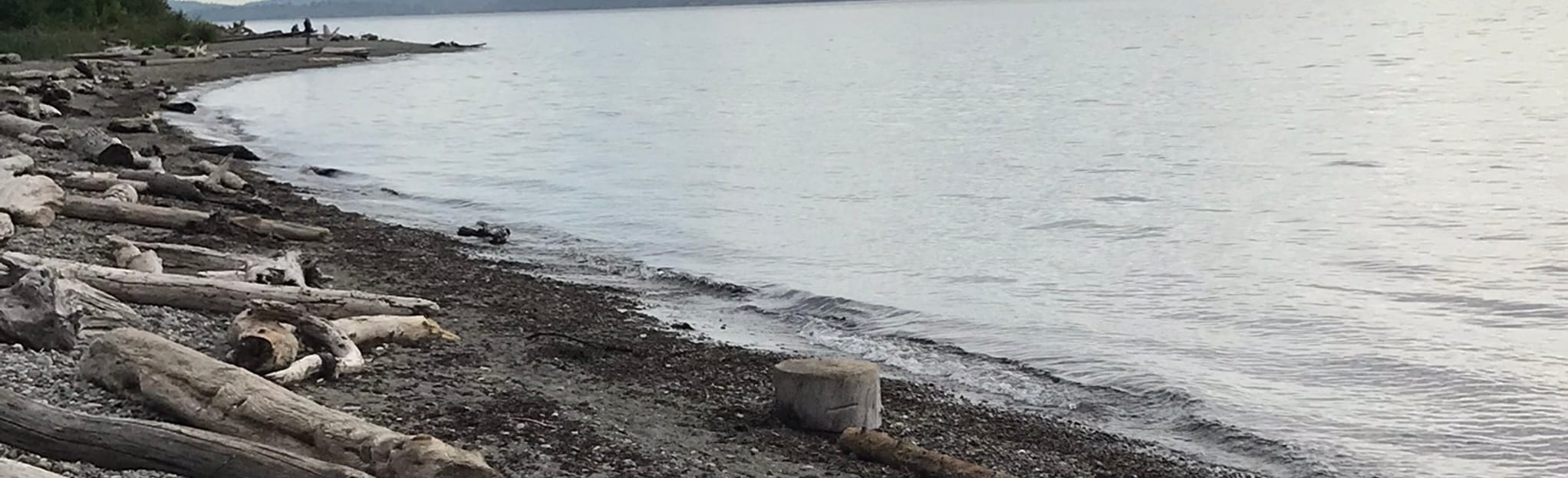 Seahurst Park Loop Trail: 707 Reviews, 412 Photos, Map - Washington ...