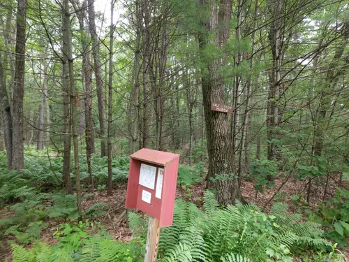 Best Hikes and Trails in Boxborough | AllTrails