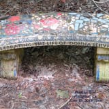 Bodcau Trail, Louisiana - 128 Reviews, Map | AllTrails