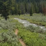Bacon Rind Creek Trail, Montana - 87 Reviews, Map | AllTrails