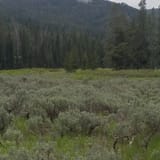 Bacon Rind Creek Trail, Montana - 87 Reviews, Map | AllTrails