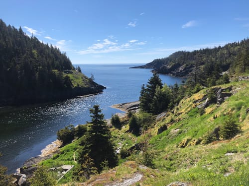 Best Hikes and Trails in Chance Cove Provincial Park | AllTrails