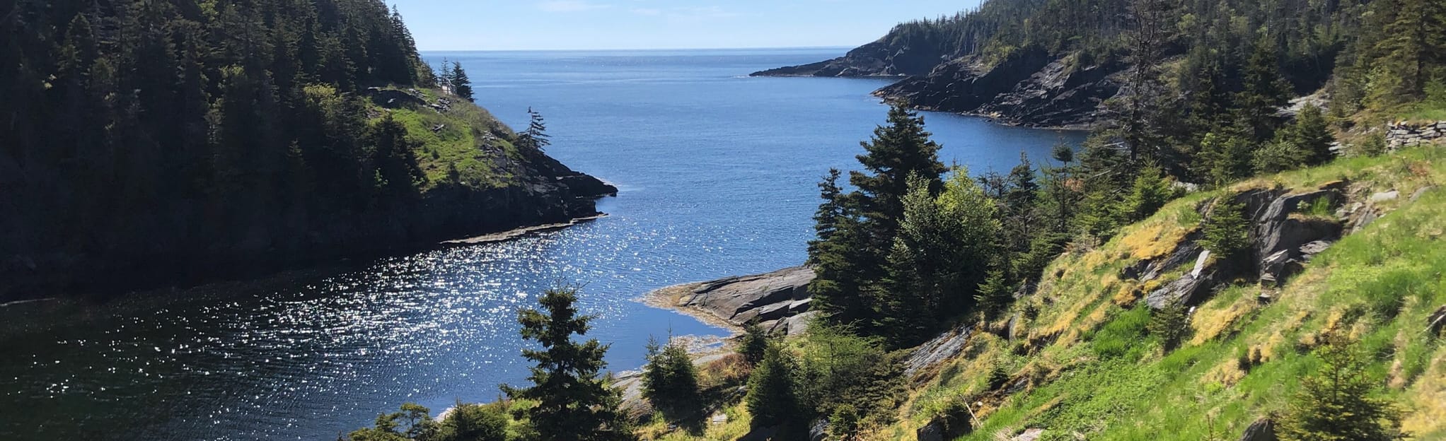 East Coast Trail La Manche Section: 229 Reviews, Map - Newfoundland and ...