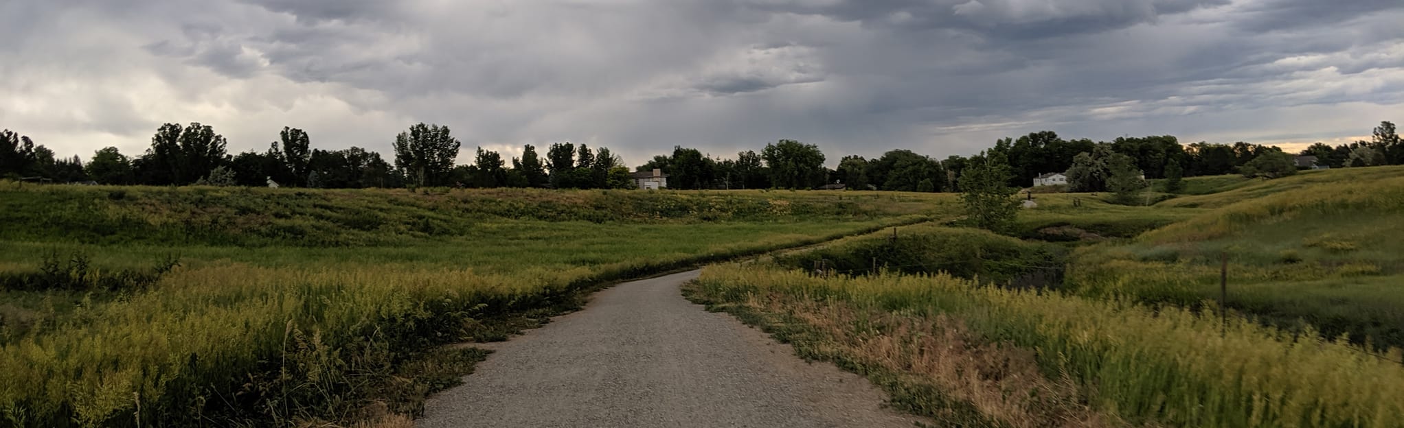 Niwot Loop Trail: Monarch Park Section | Map, Guide - Colorado | AllTrails