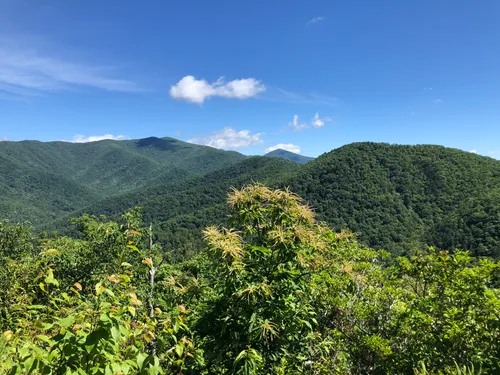 10 Best Trails and Hikes in Montreat | AllTrails