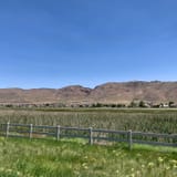 Damonte Ranch Park Loop, Nevada - 38 Reviews, Map | AllTrails