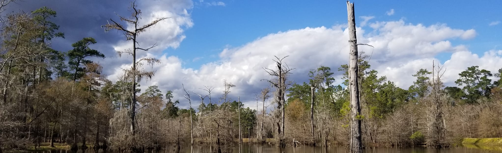 Claiborne Park Trail Loop, Texas - 76 Reviews, Map | AllTrails