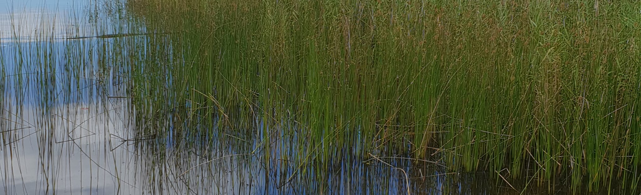 Habitat Noosa to Kinaba: 3 Reviews, Map - Queensland, Australia | AllTrails