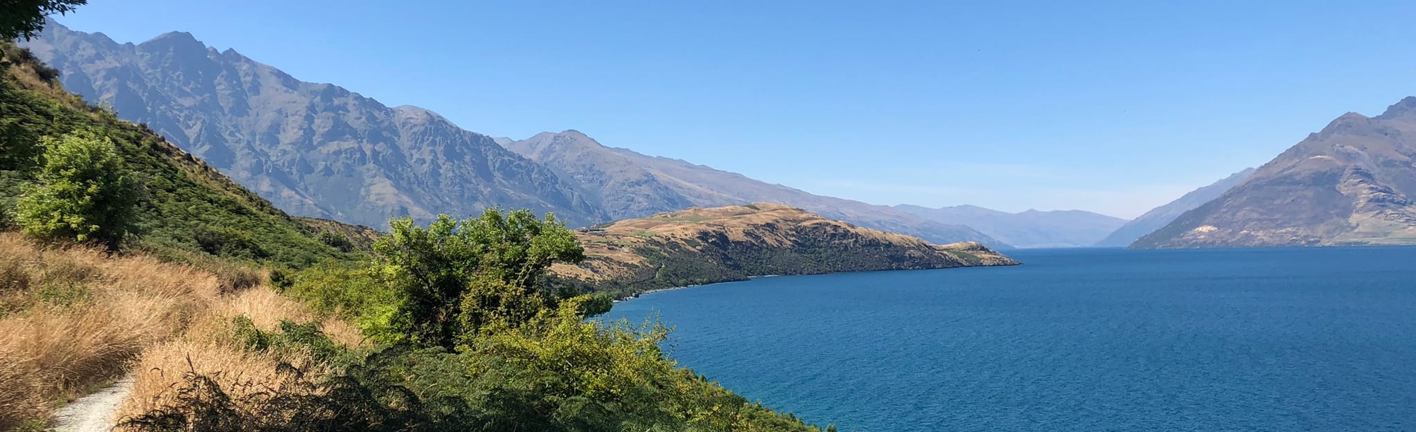 Jack's Point Trail: 102 Reviews, Map - Otago, New Zealand | AllTrails